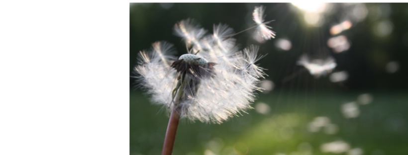 Slide_wind.bak – Support Groups in Kansas