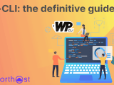 Wp Cli The Definitive Guide Supporthost