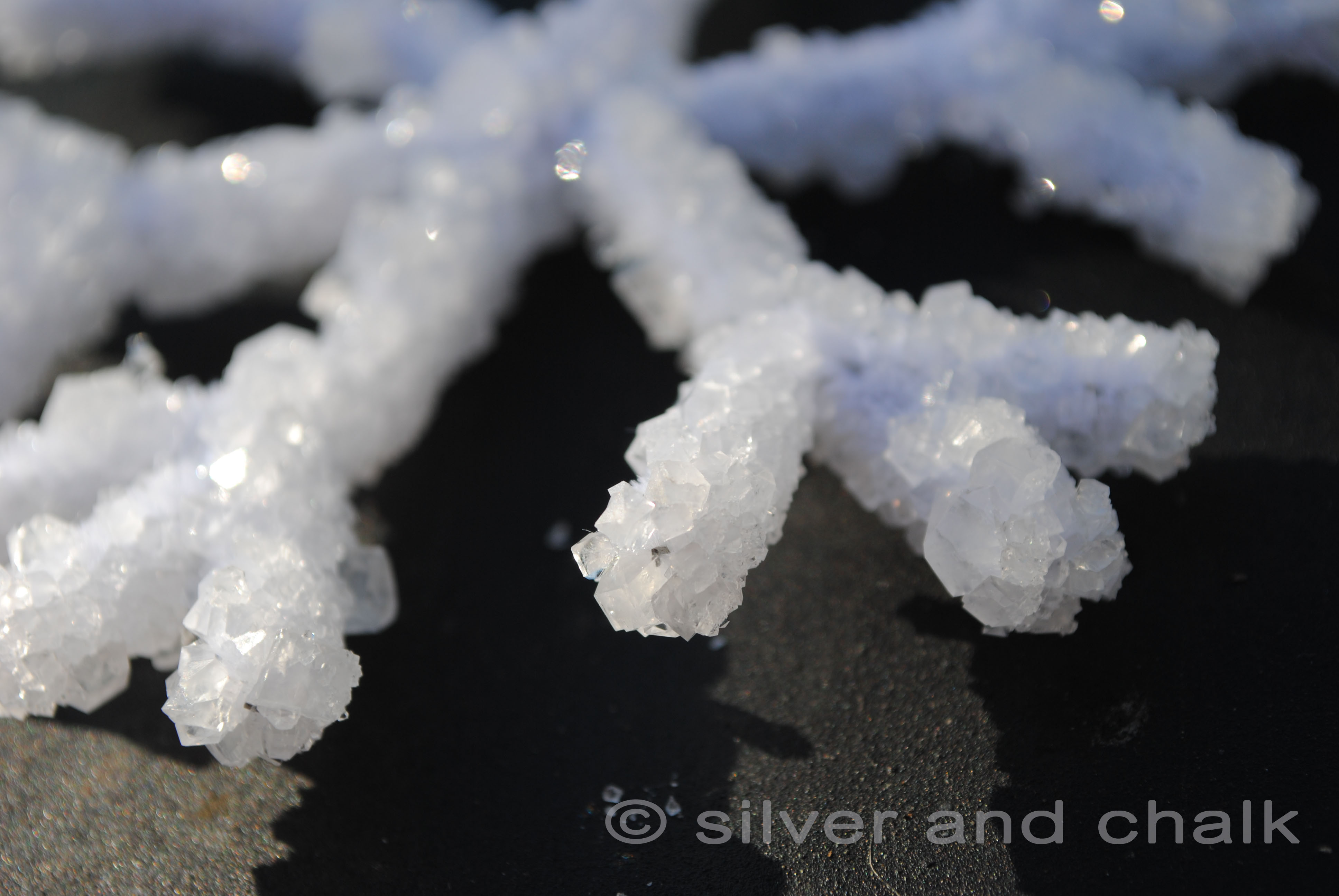 Holiday Activities: Science Activities for Kids