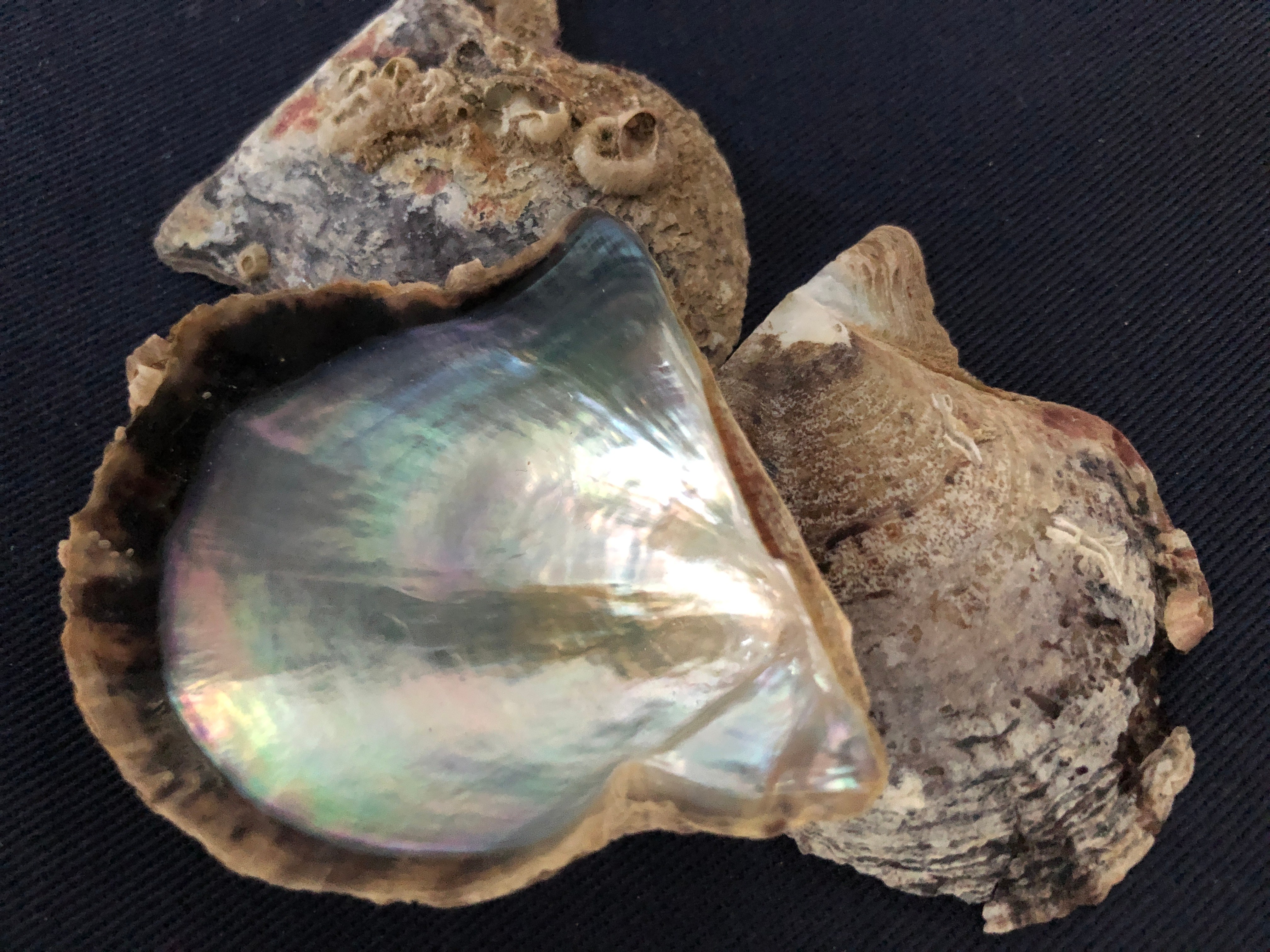 God's inner work — Susan Lafferty