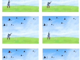 Bird Shooting