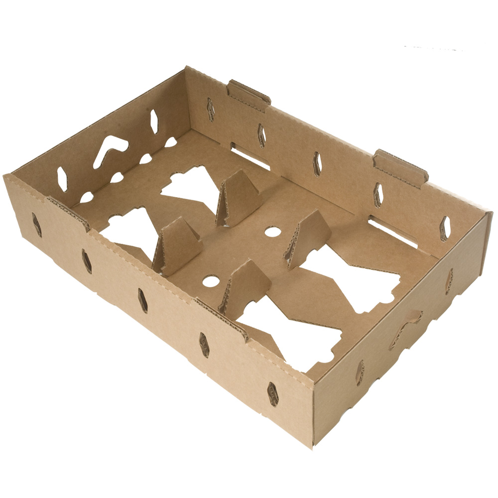 master-carton-empty-popups – Sustainable Produce Container | 888-883-7259 master-carton-empty-popups – Sustainable Produce Container | 888-883-7259