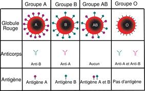 bac 2017 | site éducative pour les étudiants de baccalauréat ,ce site ...