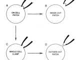 Patch Configurations