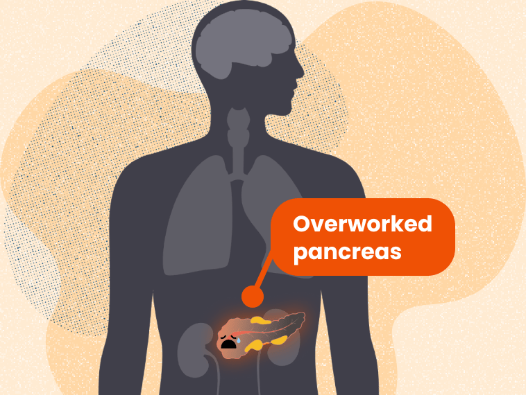 How Diabetes Develops Diabetes Hub