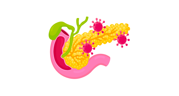 How Diabetes Develops Diabetes Hub