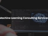 Best Machine Learning Consulting Services Syndell
