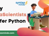 Why Data Scientists Prefer Python Syntax Minds