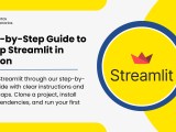 Clone Install And Run Streamlit App Step By Step Guide
