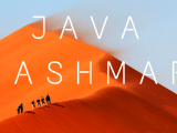 Java Hashmap System Camp