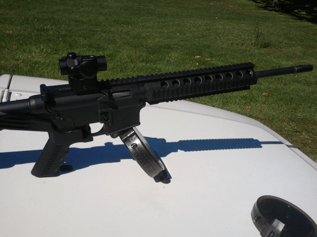 From Collector to Prepper Pt. 2 The 22 Long Rifle. - Guns, Optics, Shooting