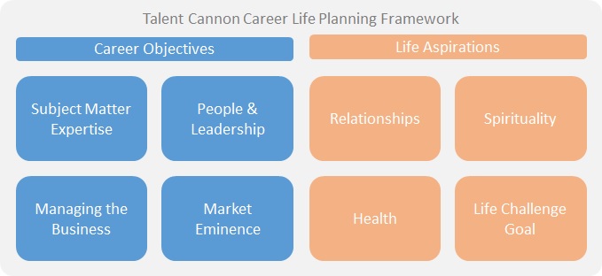 career and capability framework