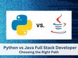Python Vs Java Full Stack Developer Choosing The Right Path