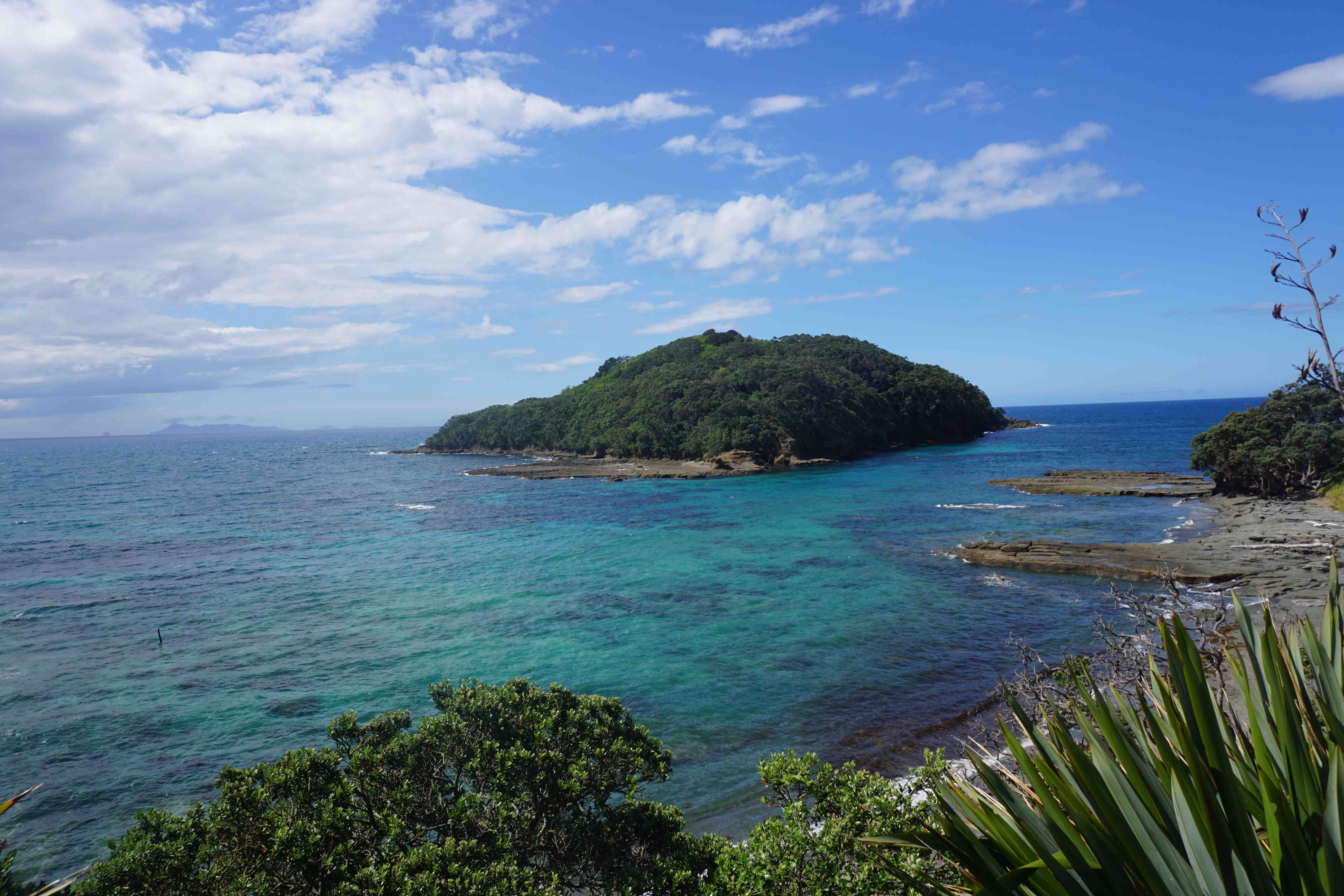 Insiders Guide to Matakana, New Zealand - Talk Travel To Me