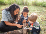 Incorporating Project Learning Tree Into Your Educational Projects