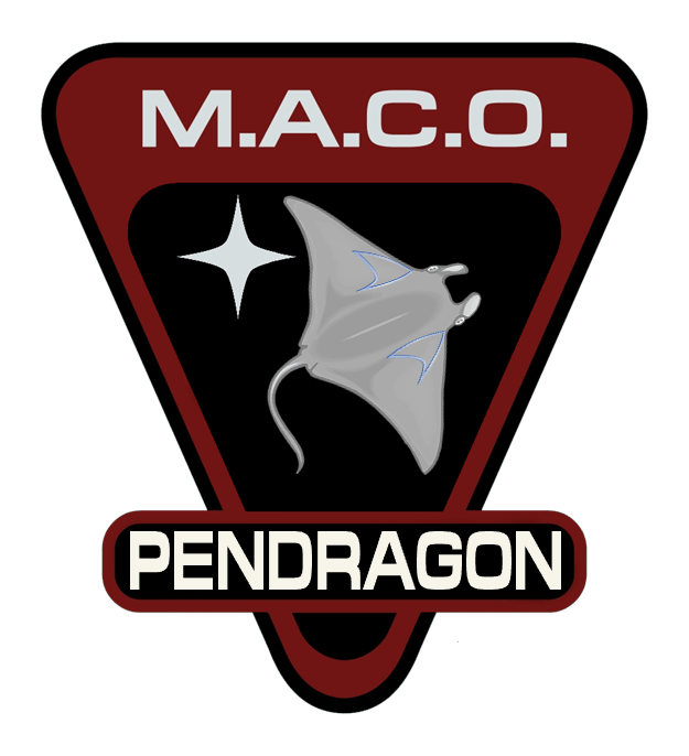 Bravo Company, 2nd Battalion, 3rd MACO Group | Taskforce31