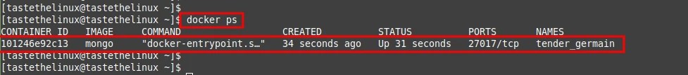 Install Docker On Linux And Run A Mongodb Container