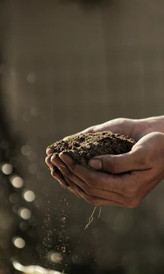Unearthing the science between soil and gut health