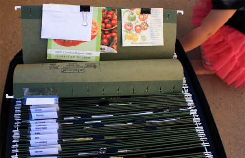 DIY Seed Bank - TastyLandscapeTastyLandscape