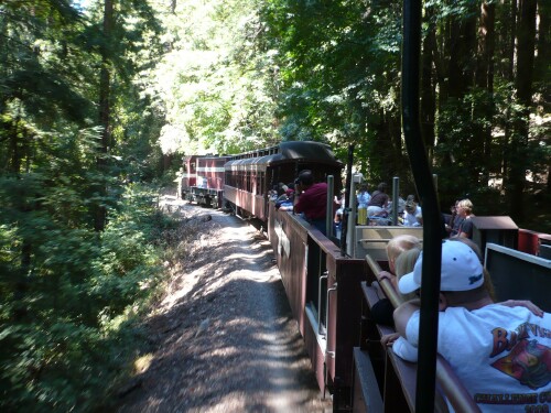 Beach Train – From Felton to Santa Cruz, California | Timary's Weblog