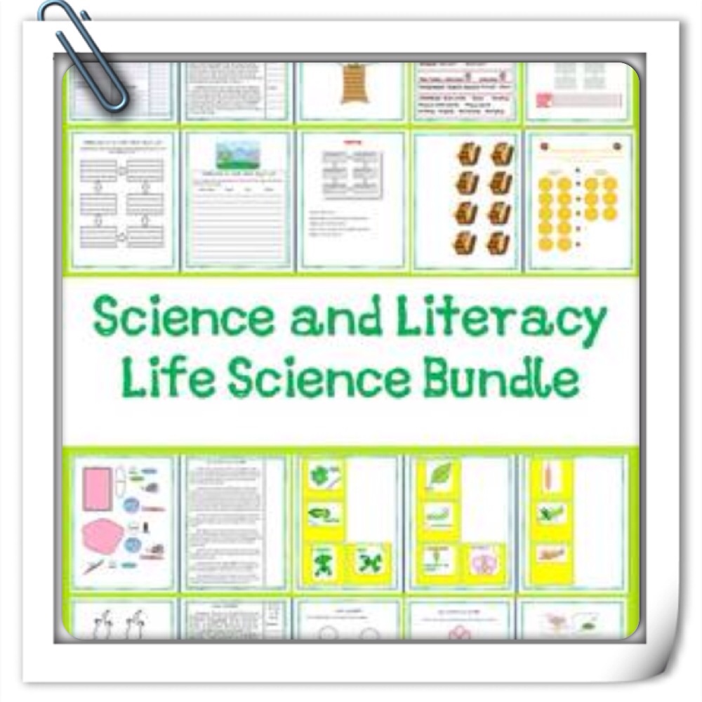 Filling in the Literacy Gap – Teacher's Workstation