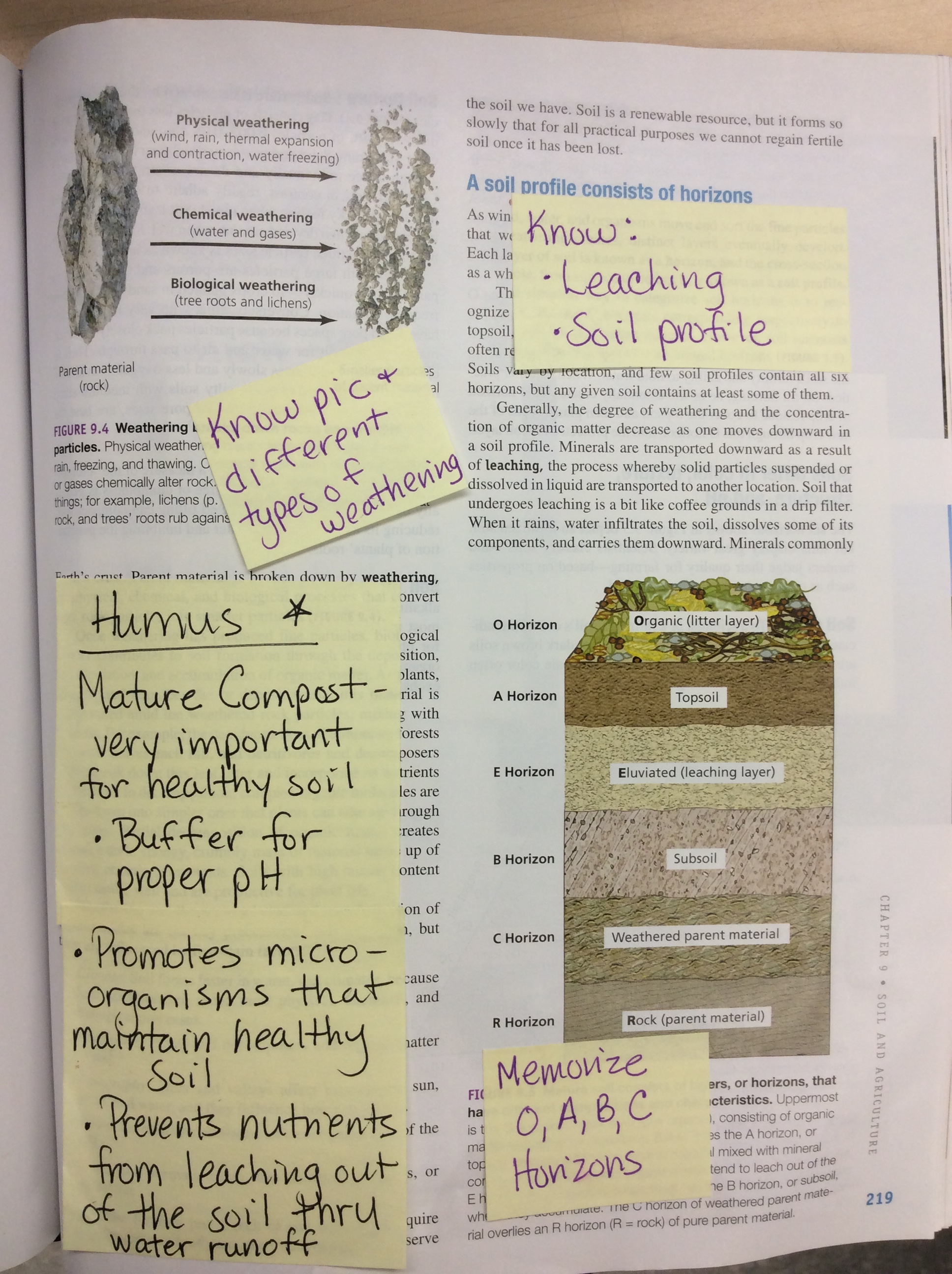 Using sticky-notes in a textbook as lecture notes in AP