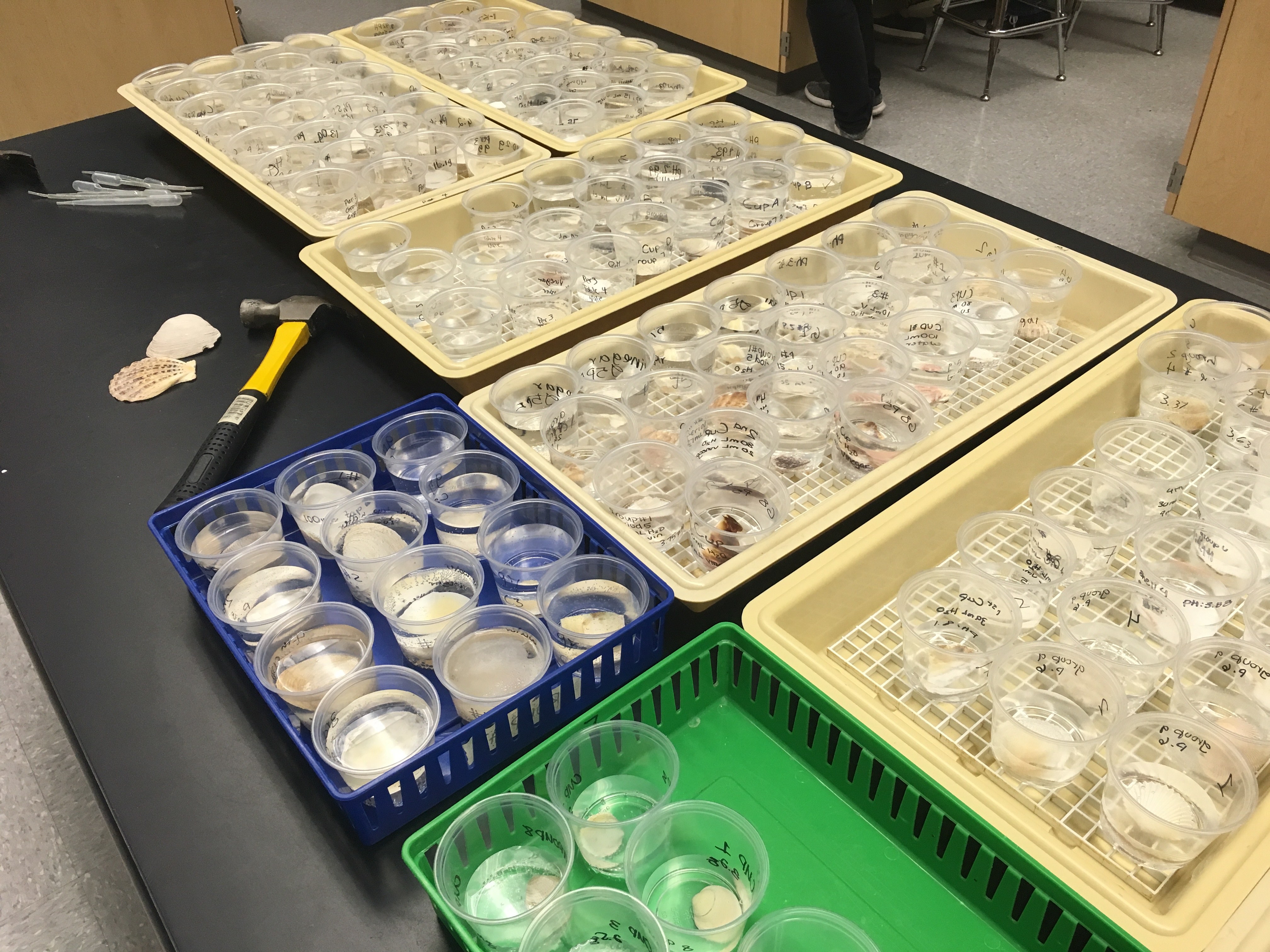 15 Things a new AP teacher should know - Teaching AP® Science