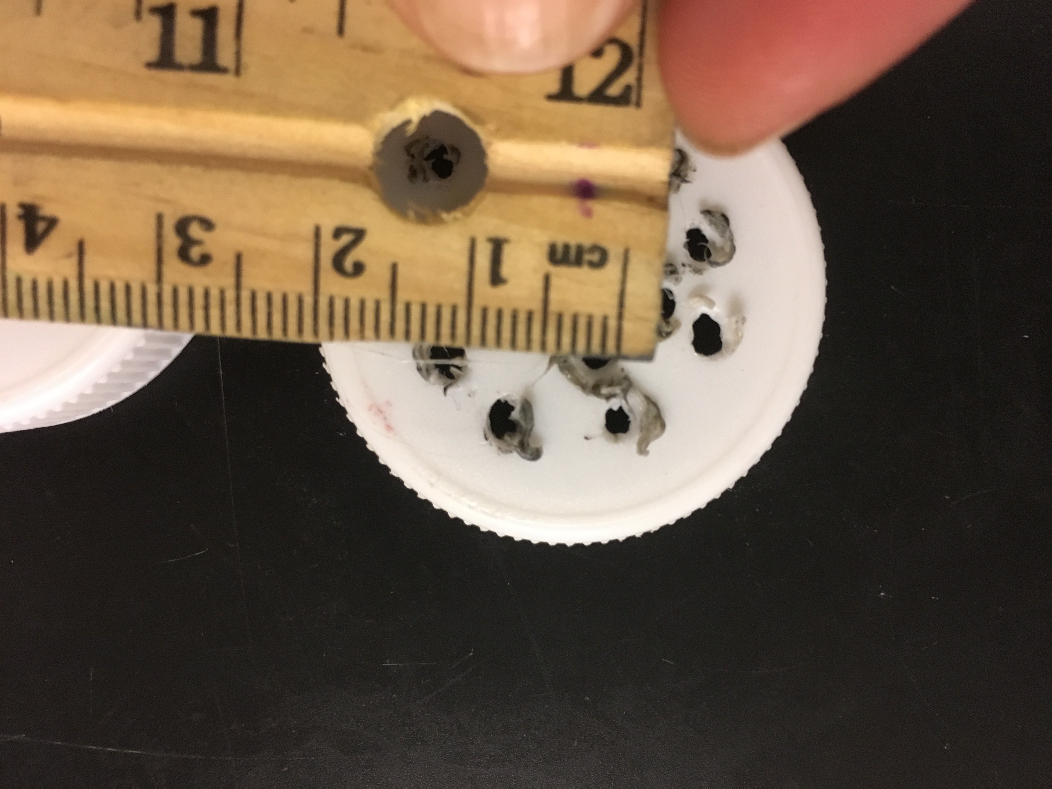 Cutting and Filling Ecocolumns - Teaching AP® Science
