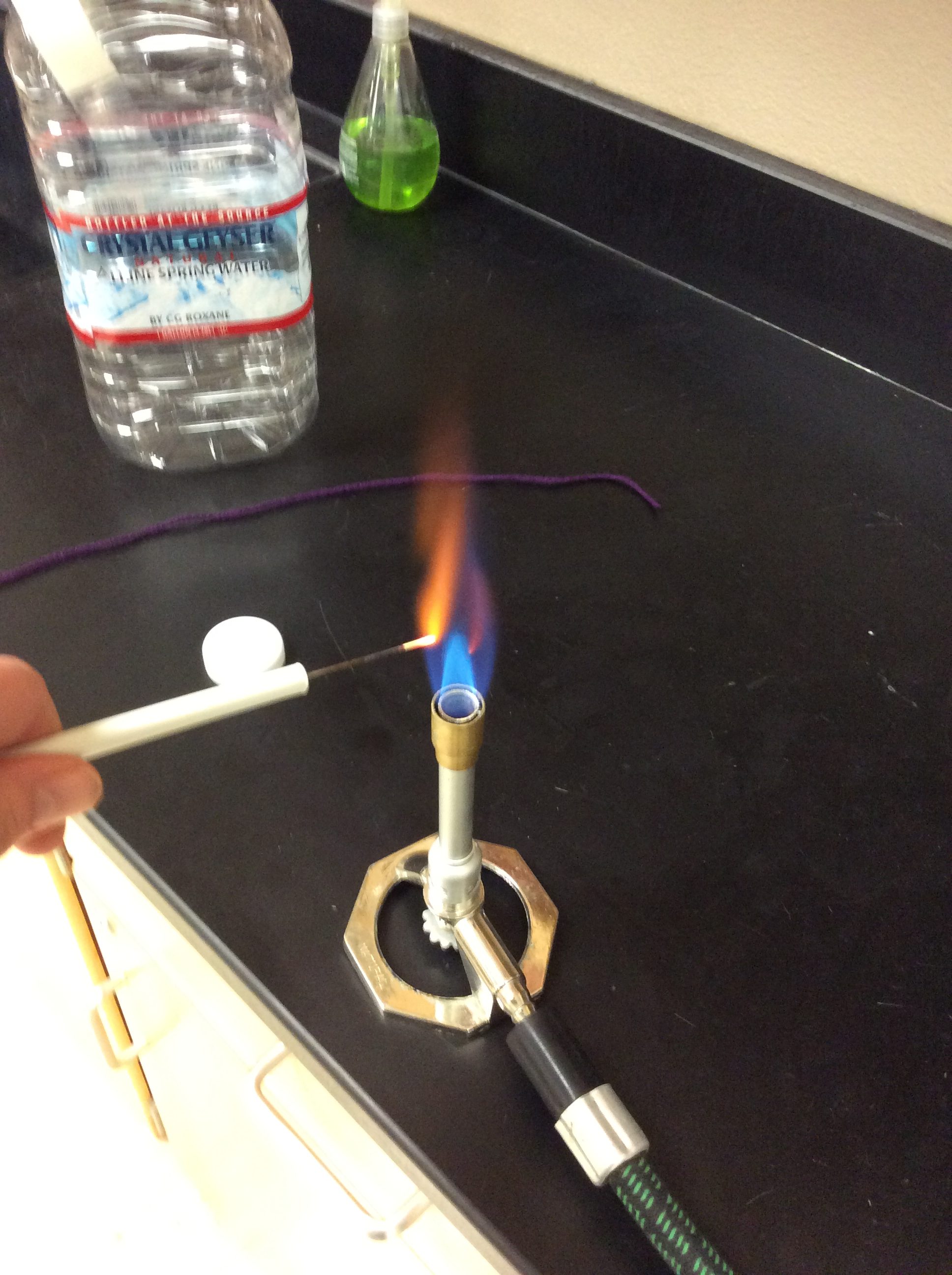Cutting and Filling Ecocolumns - Teaching AP® Science