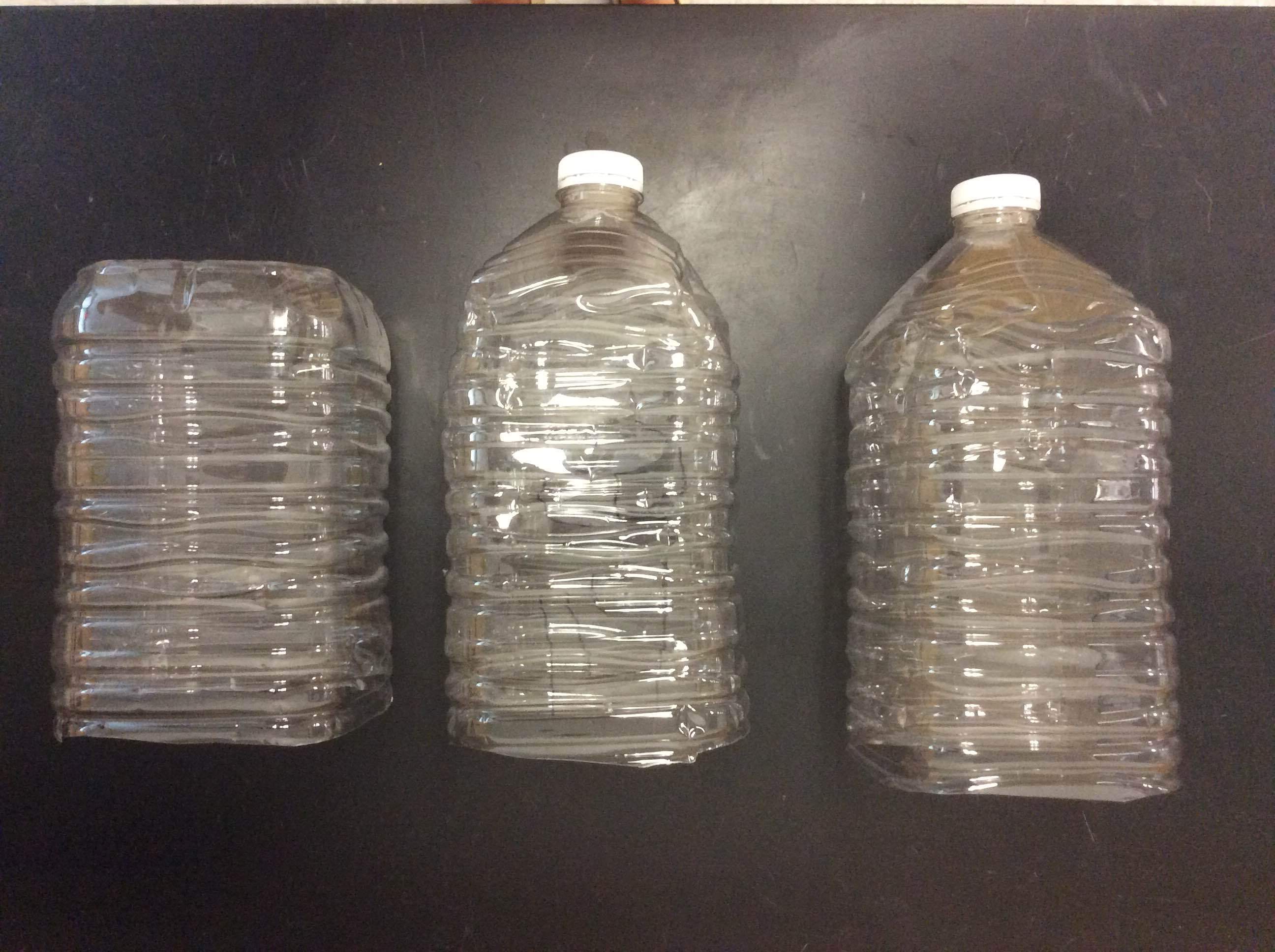 Cutting and Filling Ecocolumns - Teaching AP® Science