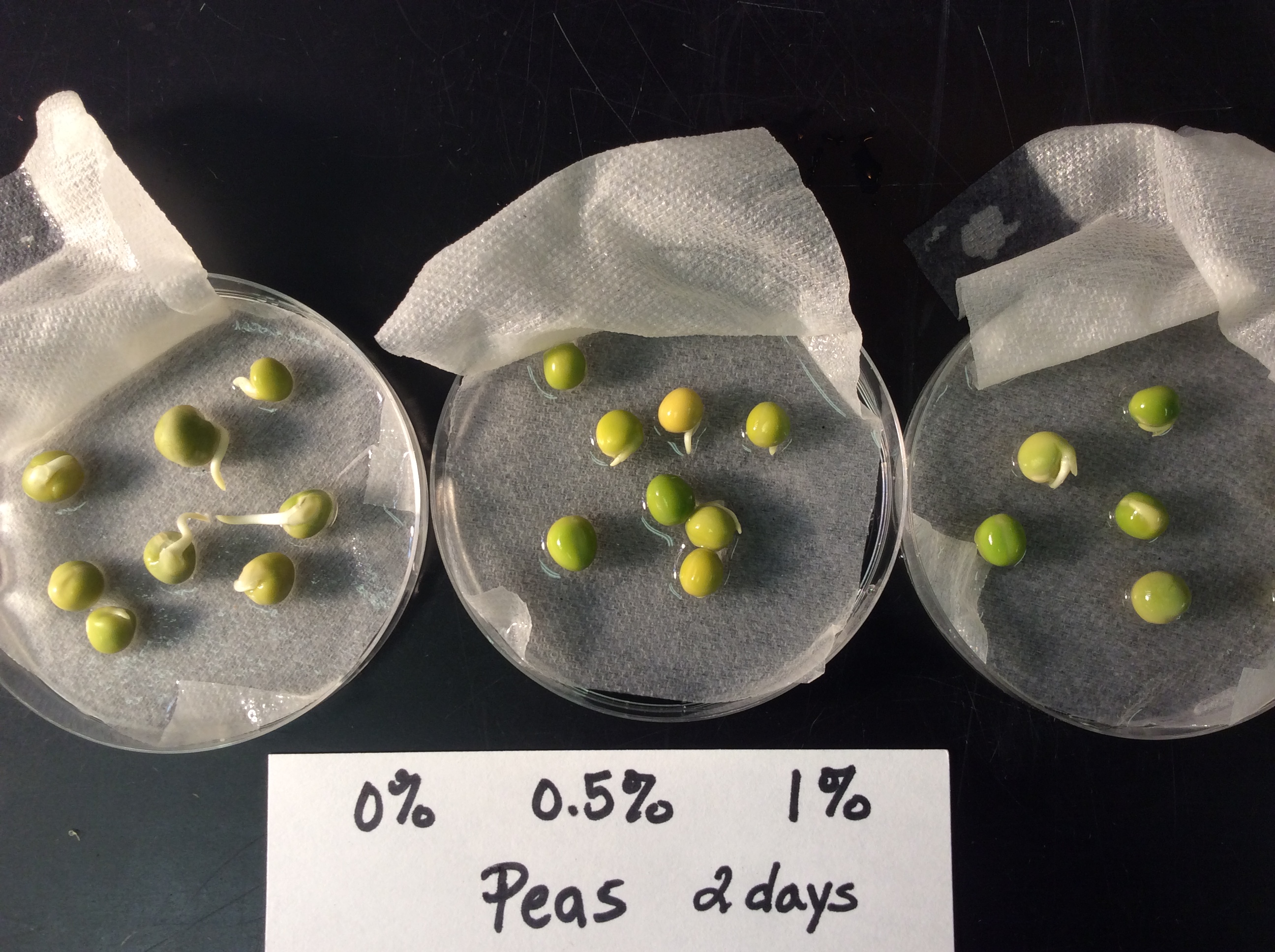 Soil Salinization Lab - Teaching AP® Science