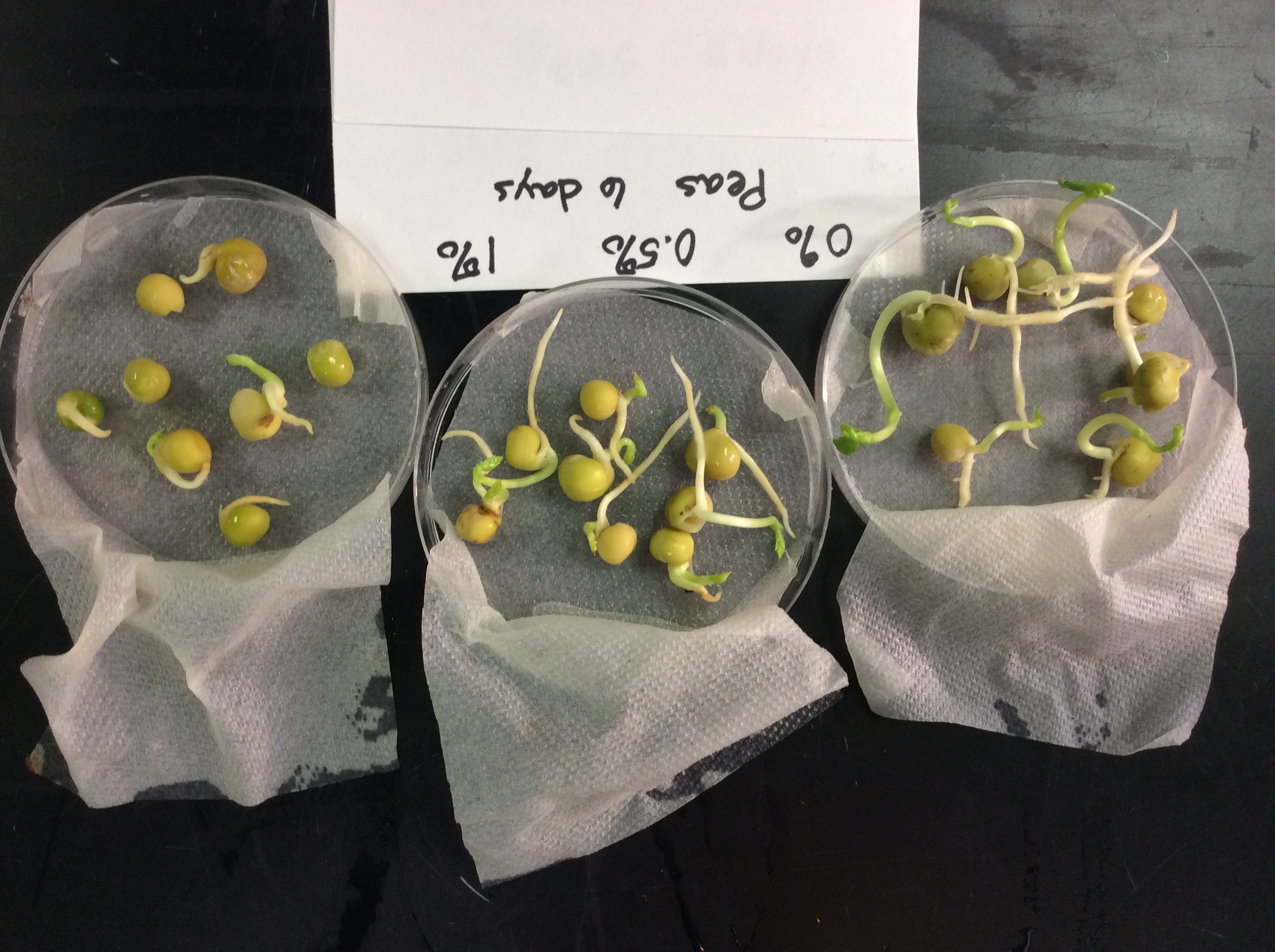 Soil Salinization Lab - Teaching AP® Science