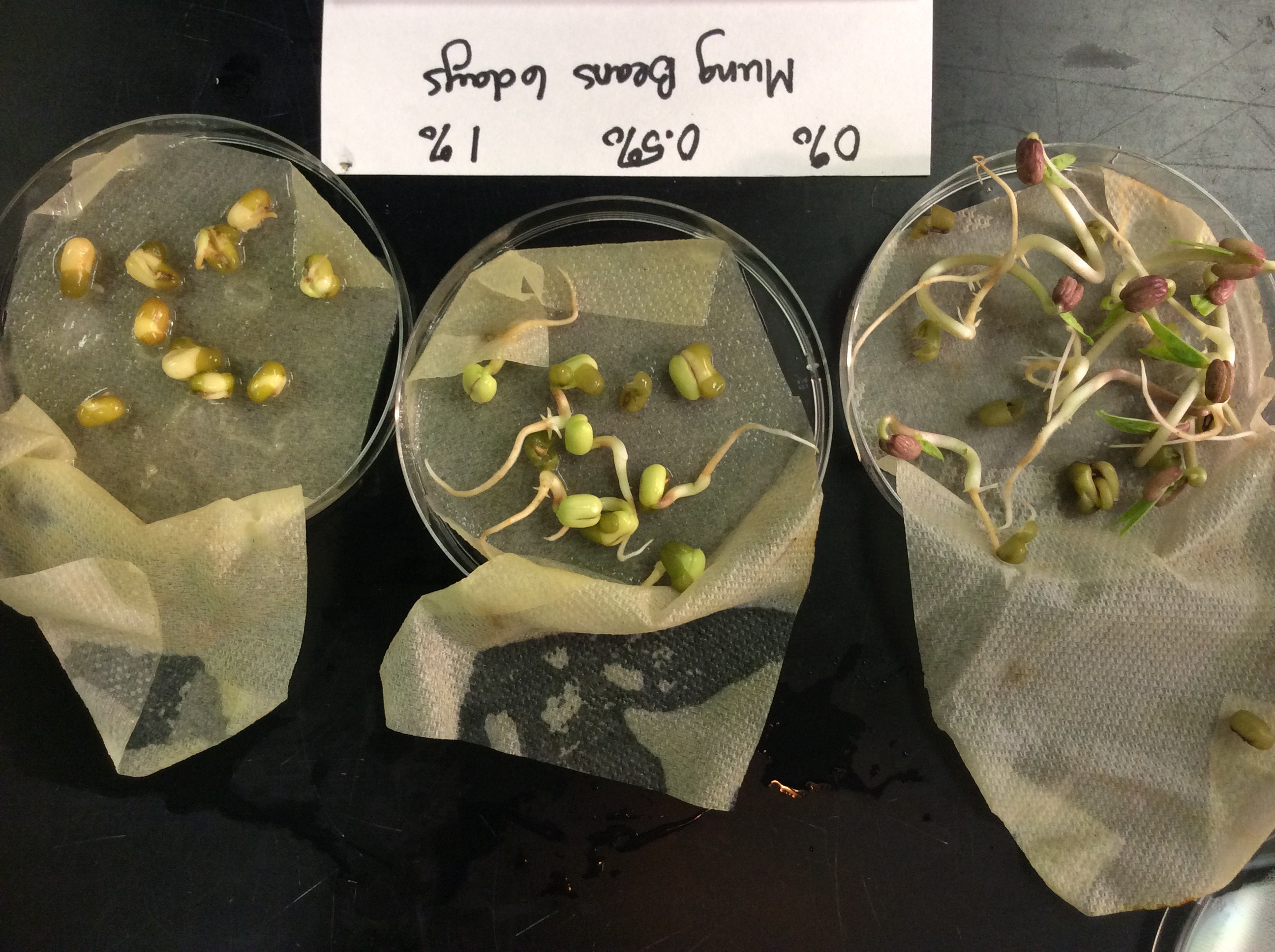 Labs For Each Unit in AP® Environmental Science - Teaching AP® Science