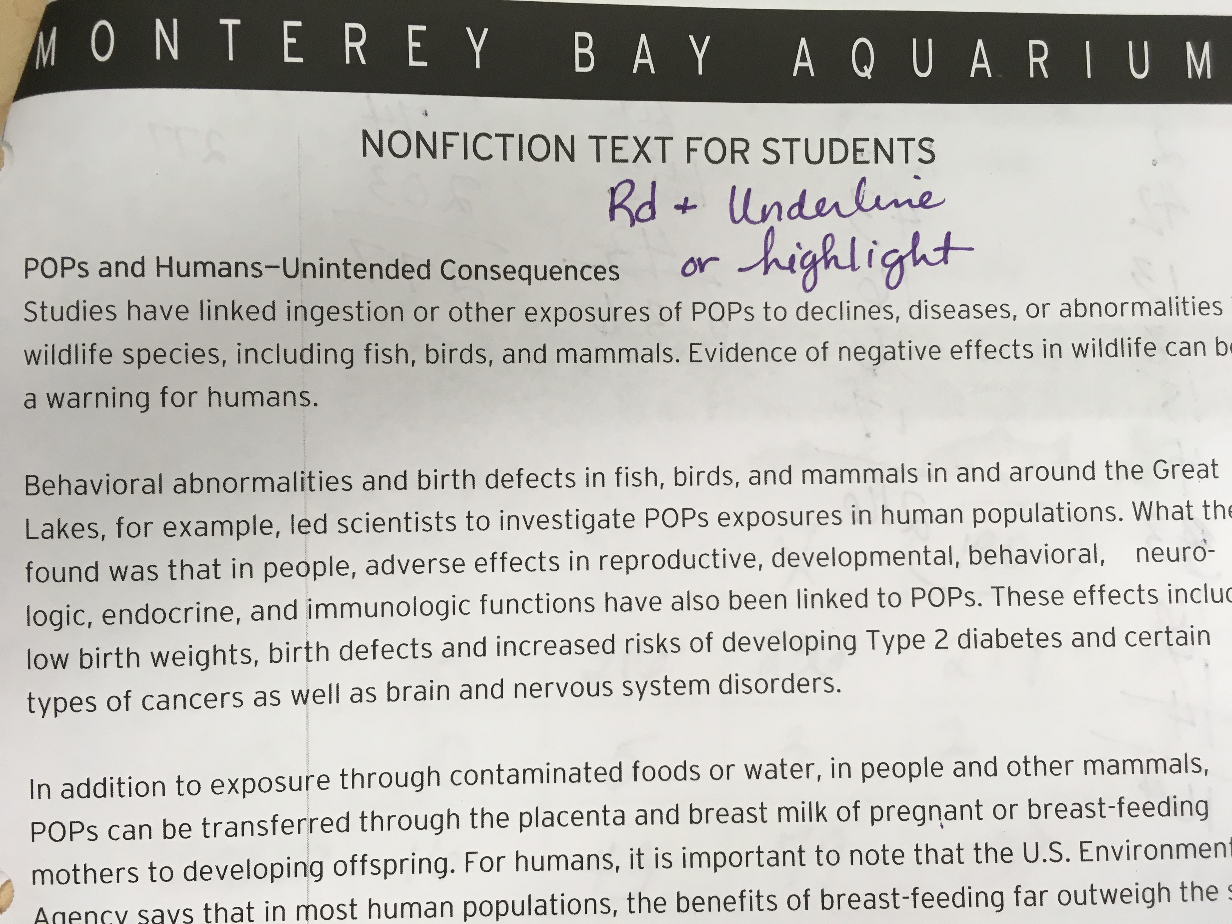 Biomagnification Activity from the Monterey Bay Aquarium - Teaching AP ...
