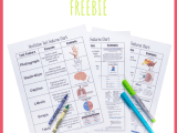Free Text Features Slideshow Teaching Made Practical