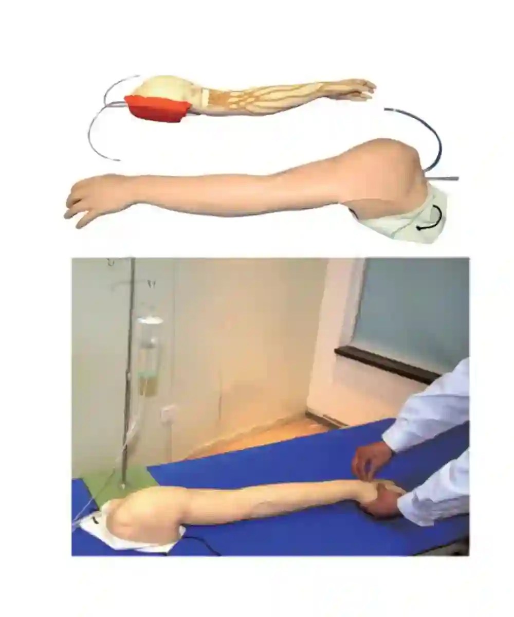 Full Functional Vein Injection Arm Teachingnest