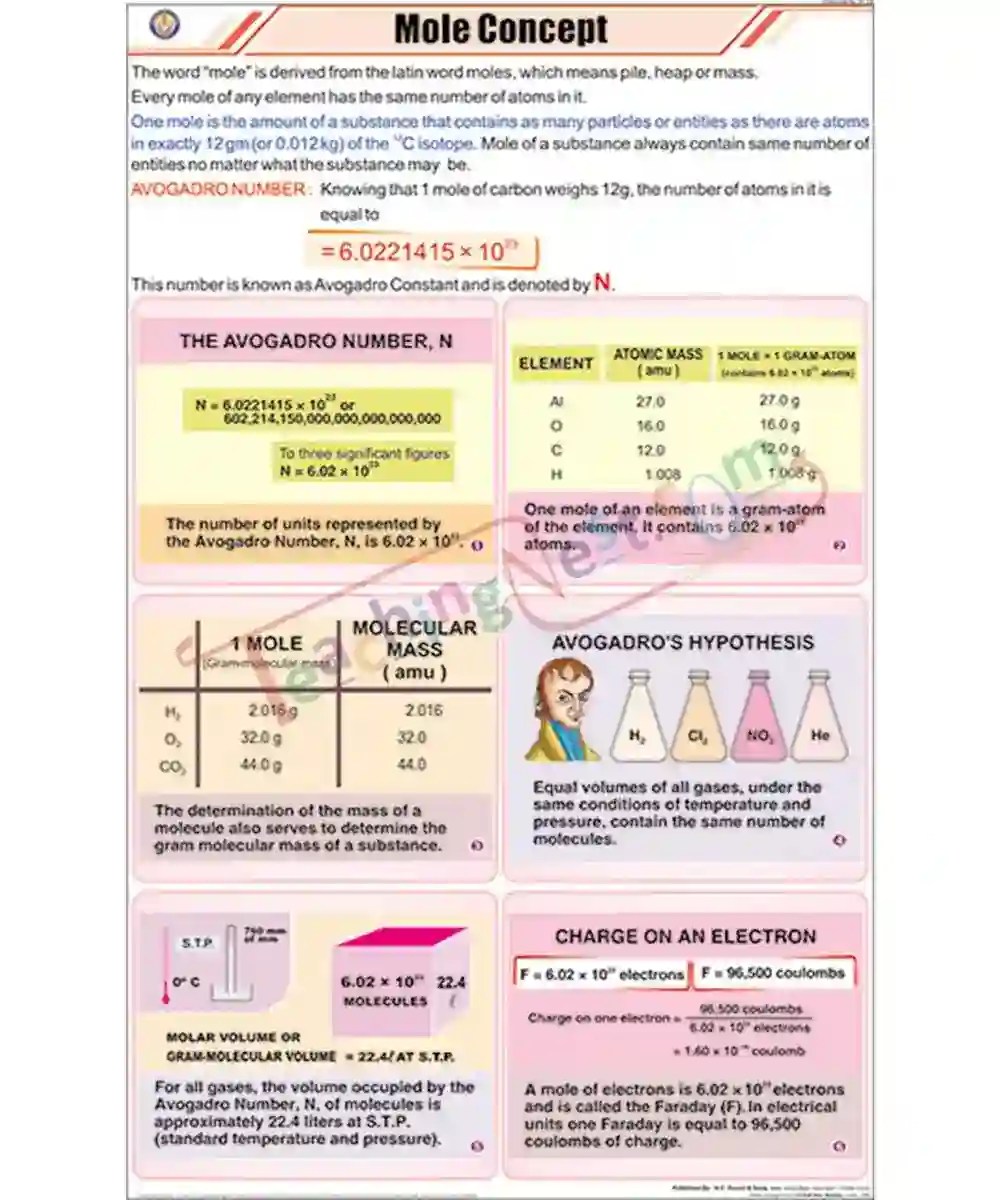 Mole Concept Chart – Laminated, With Rollers - TeachingNest