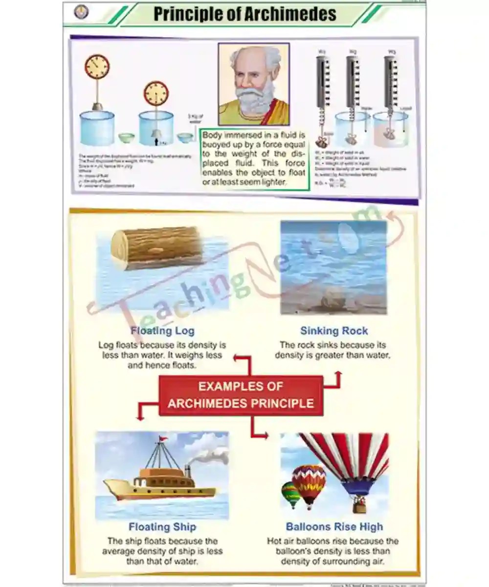 Principle of Archimedes Chart - Laminated, With Rollers - TeachingNest