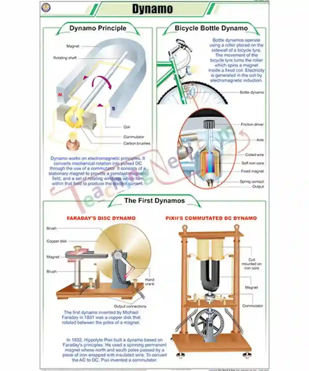 Dynamo Chart – Laminated, With Rollers - TeachingNest