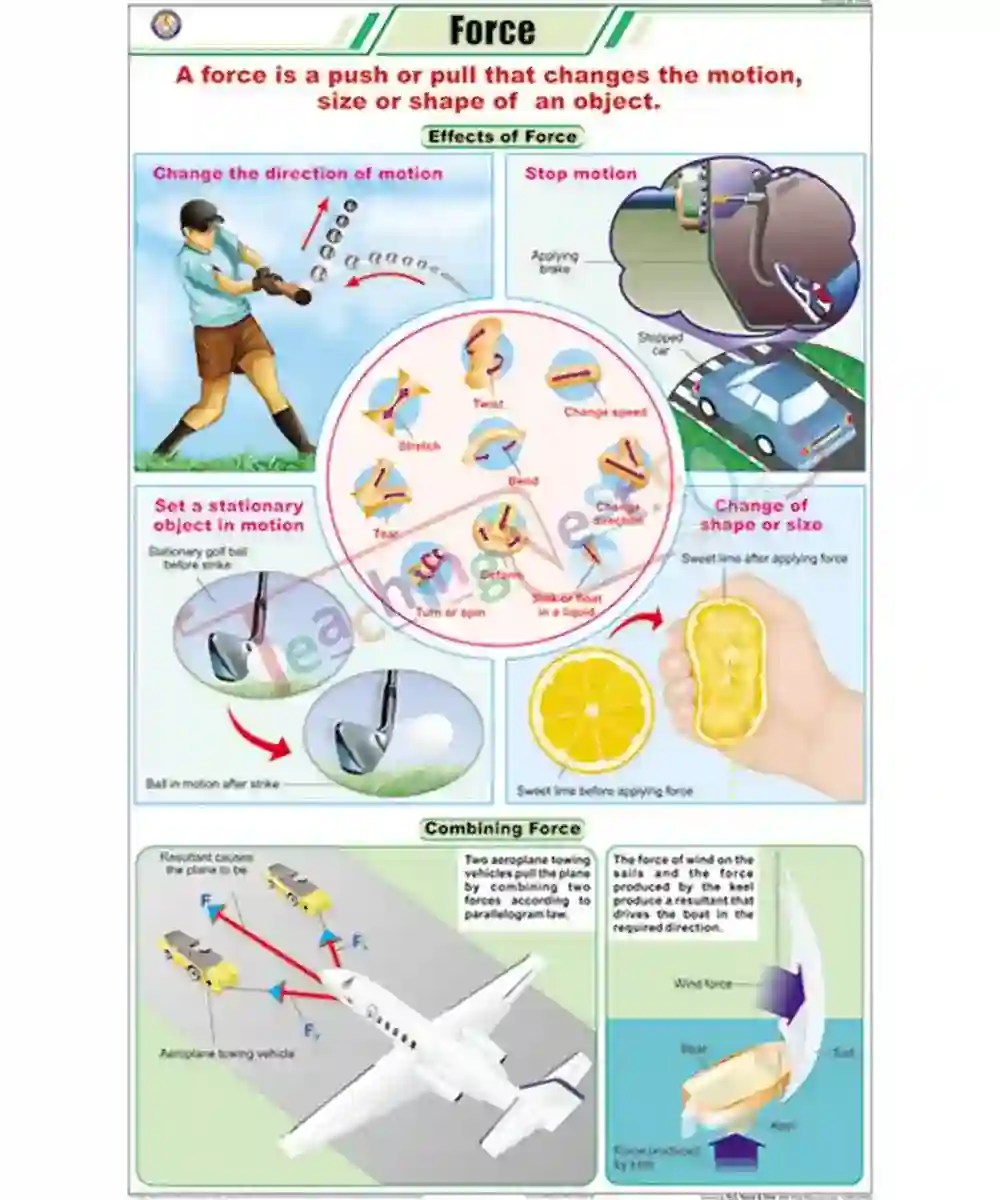 Force Chart – Laminated, With Rollers - TeachingNest