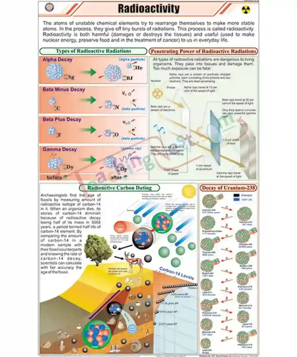 Radioactivity Chart – Laminated, With Rollers - TeachingNest