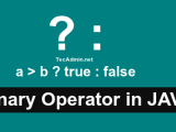 How To Use Ternary Operator In Java With Examples