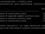 How To Switch Between Multiple Java Versions On Debian Tecadmin