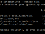 How To Switch Between Different Java Versions On Ubuntu