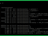 How To Check Python Version In Linux Command Line Tecadmin