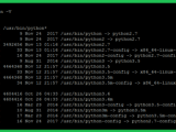 How To Check Python Version In Linux Command Line Tecadmin