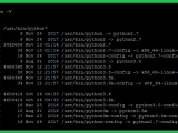 How To Check Python Version In Linux Command Line Tecadmin