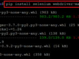 Setting Up Selenium With Python And Chrome Driver On Ubuntu