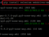 Setting Up Selenium With Python And Chrome Driver On Ubuntu