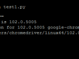 Setup Selenium With Python And Chrome On Fedora Tecadmin